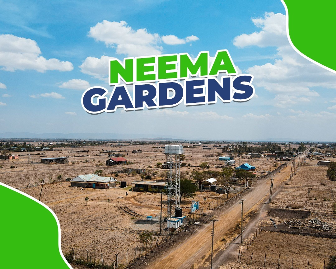 Available Plots in Juja - Zenawi Real Estate