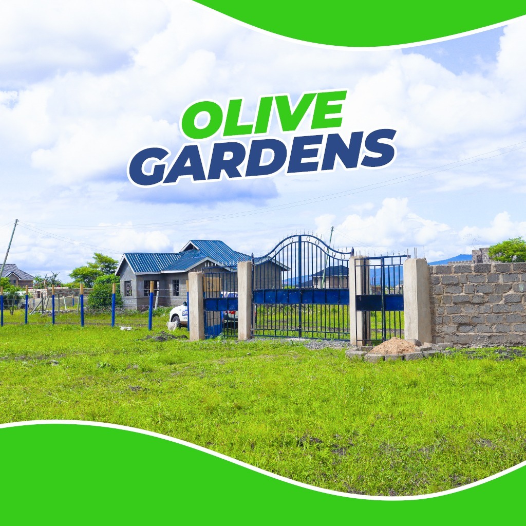 Available Plots in Juja - Zenawi Real Estate